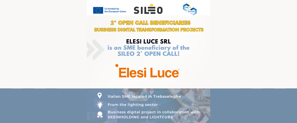 SILEO Business Digital Transformation Project - Elesi Luce